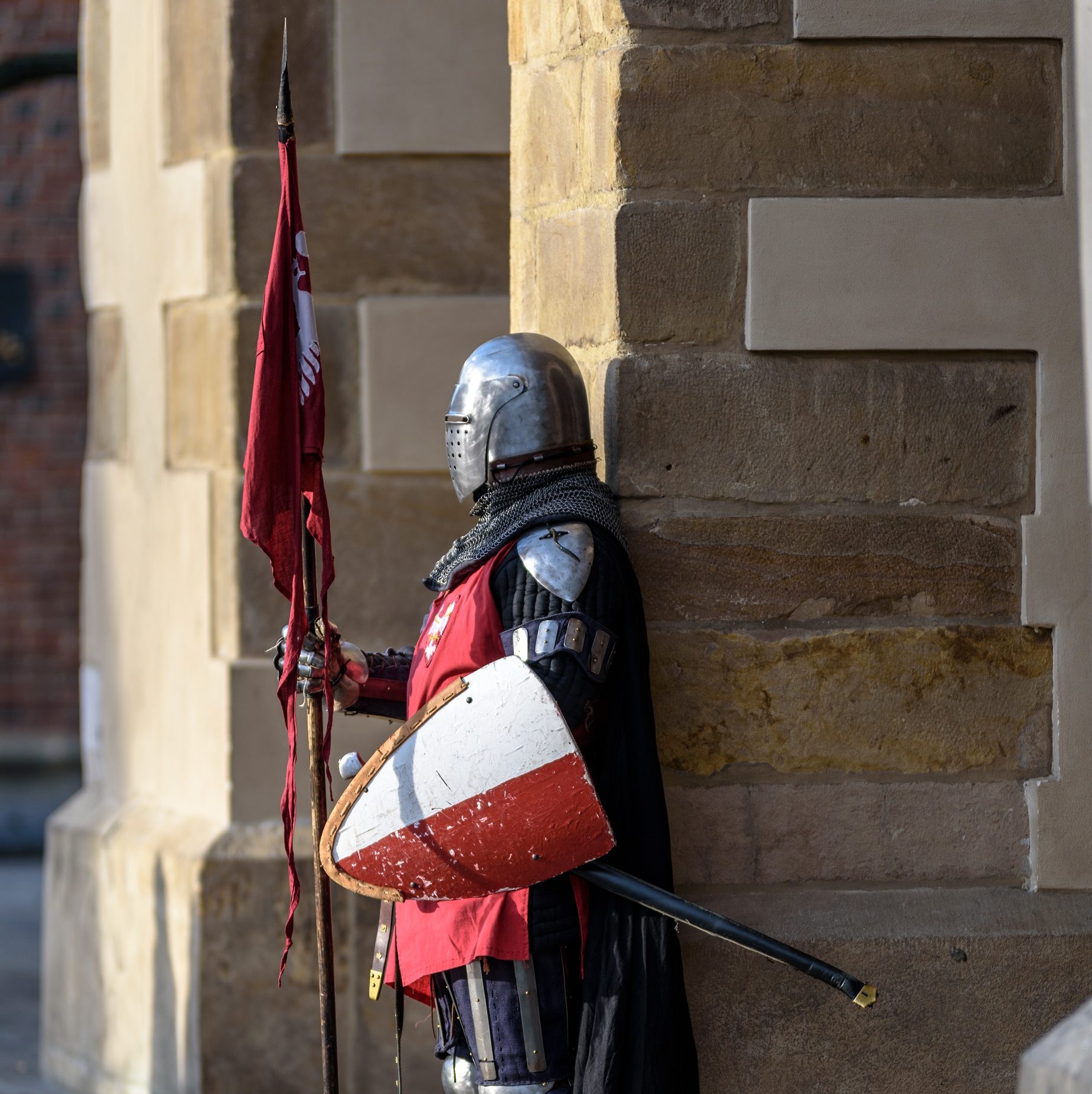 Armed knight on guard - Egis Cyber Solutions